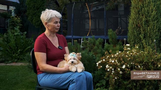 Русская салонная собака // #приВЕТАХМЕД