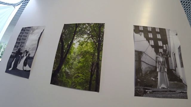 Нальчик Кабардино-Балкария. Павильон современного искусства выставка "Сходящие линии"