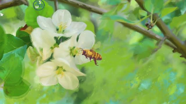 Пчелка: Мы семья!