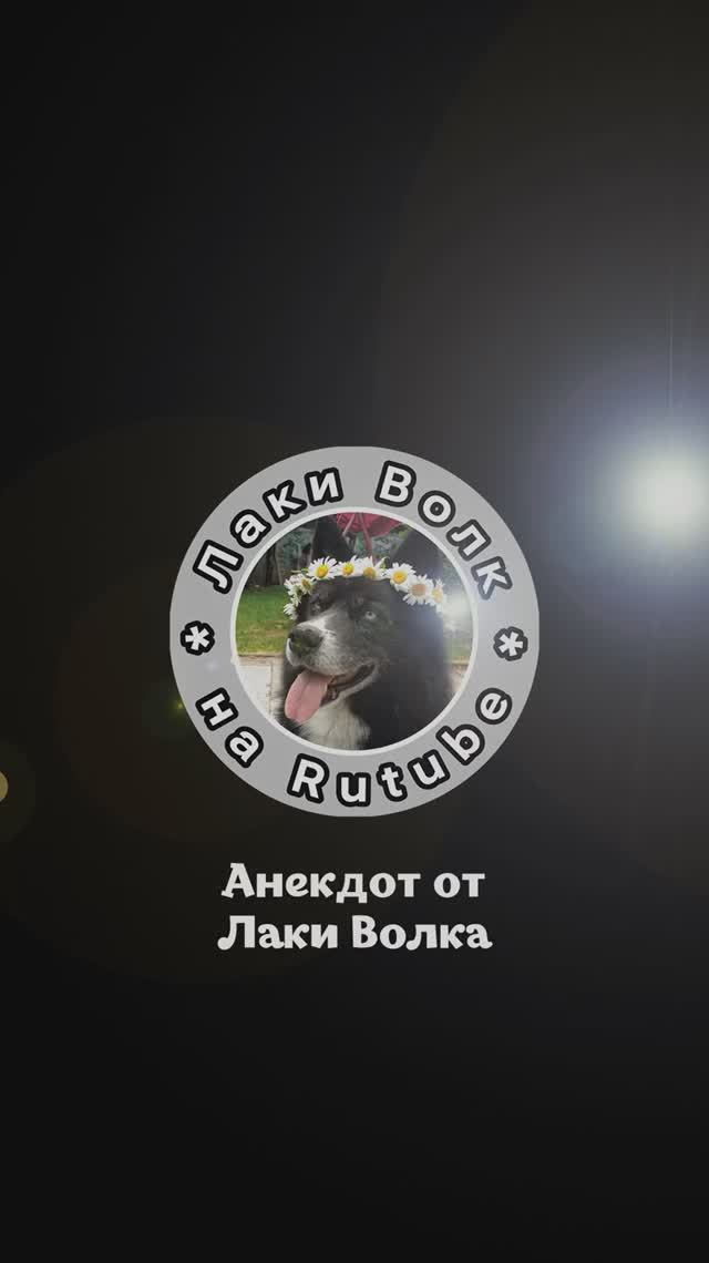 Анекдот Катя поняла