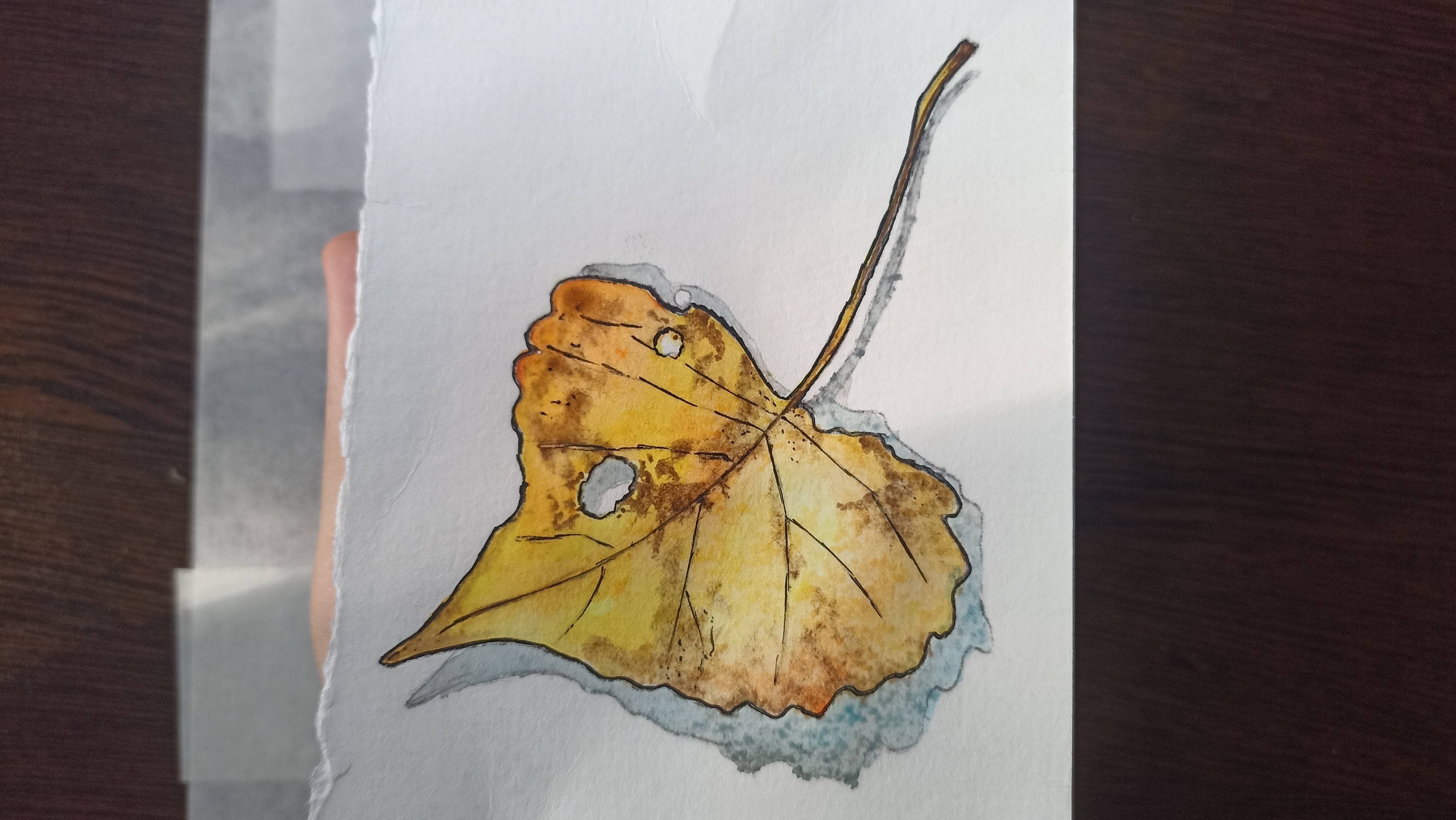 Рисунок акварелью / Желтый листочек