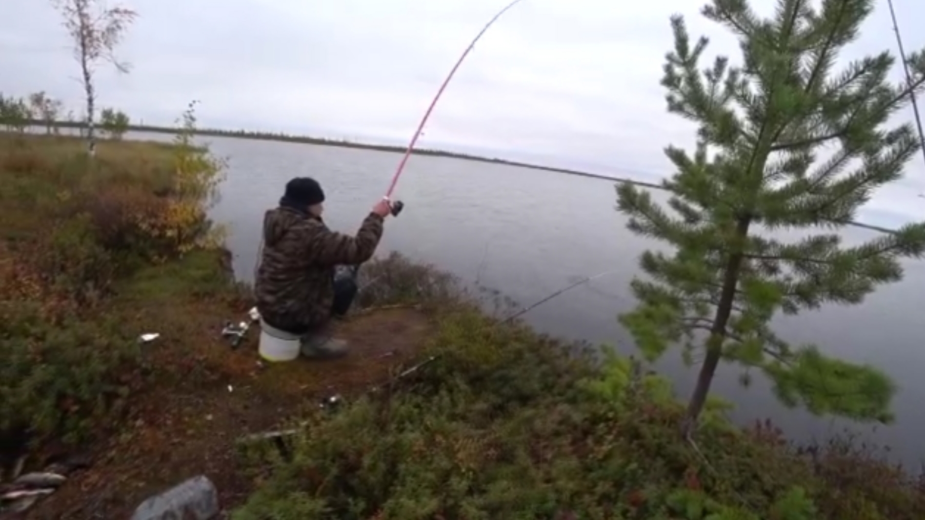 Объездили весь Сугмут в поисках рыбы и не зря!!! НАЛОВИЛИ ОЧЕНЬ МНОГО ОКУНЕЙ!!!