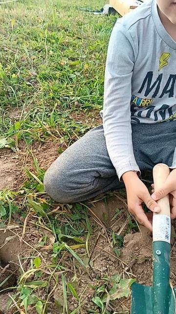 Пластик который разлагается за 3-5 лет сентябрь 2025 год