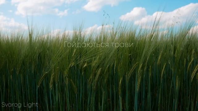 Медитация от Svarog Light - Качающиеся травы (1 час в наслаждении)