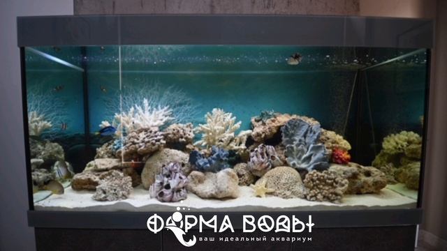 Морской аквариум «Магия моря» 600 литров