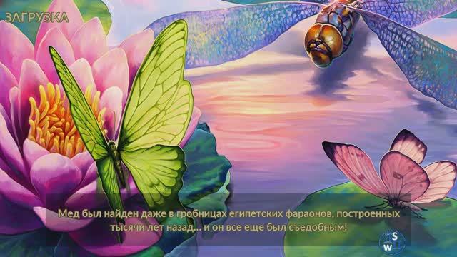 Пчелка: Зима близко!