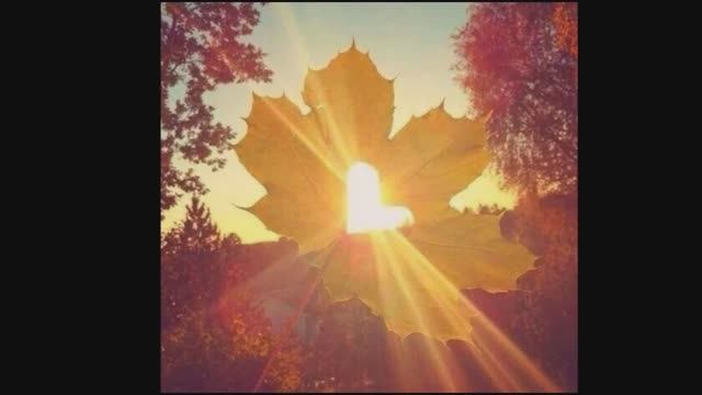 Не верь! Александр Круглов.