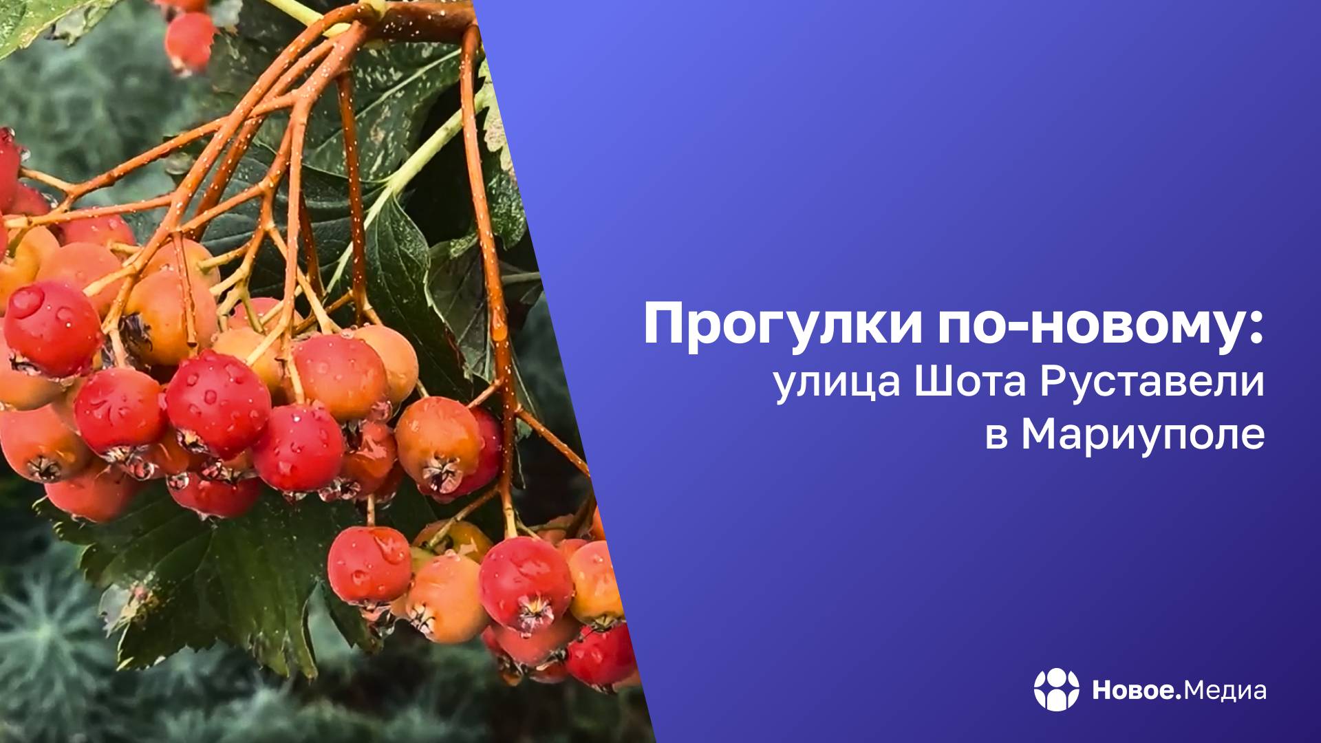 Где в ДНР оживает поэзия Шота Руставели?