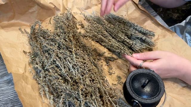 Полынь лимонная и горькая. Сравниваю травы и прожигаю скрутку.