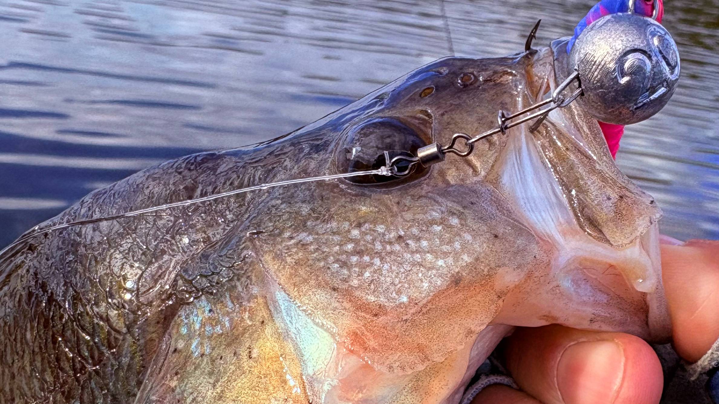 ЗЛЫЕ ОСЕННИЕ ПОКЛЕВКИ С такими окунями и другой рыбы не надо Рыбалка на спиннинг