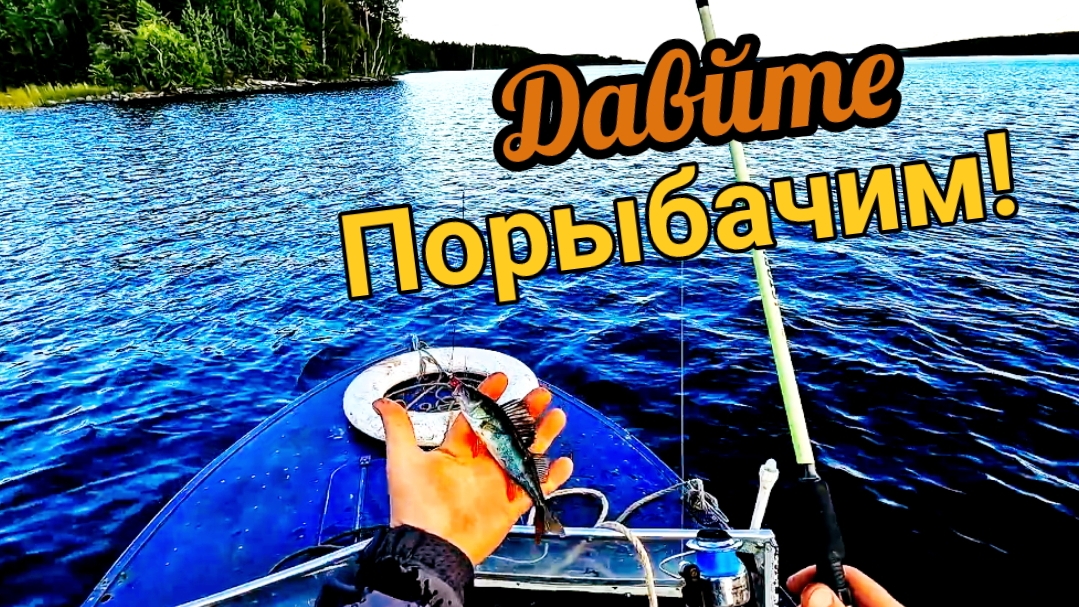Вечерний окунь: охота с лодки