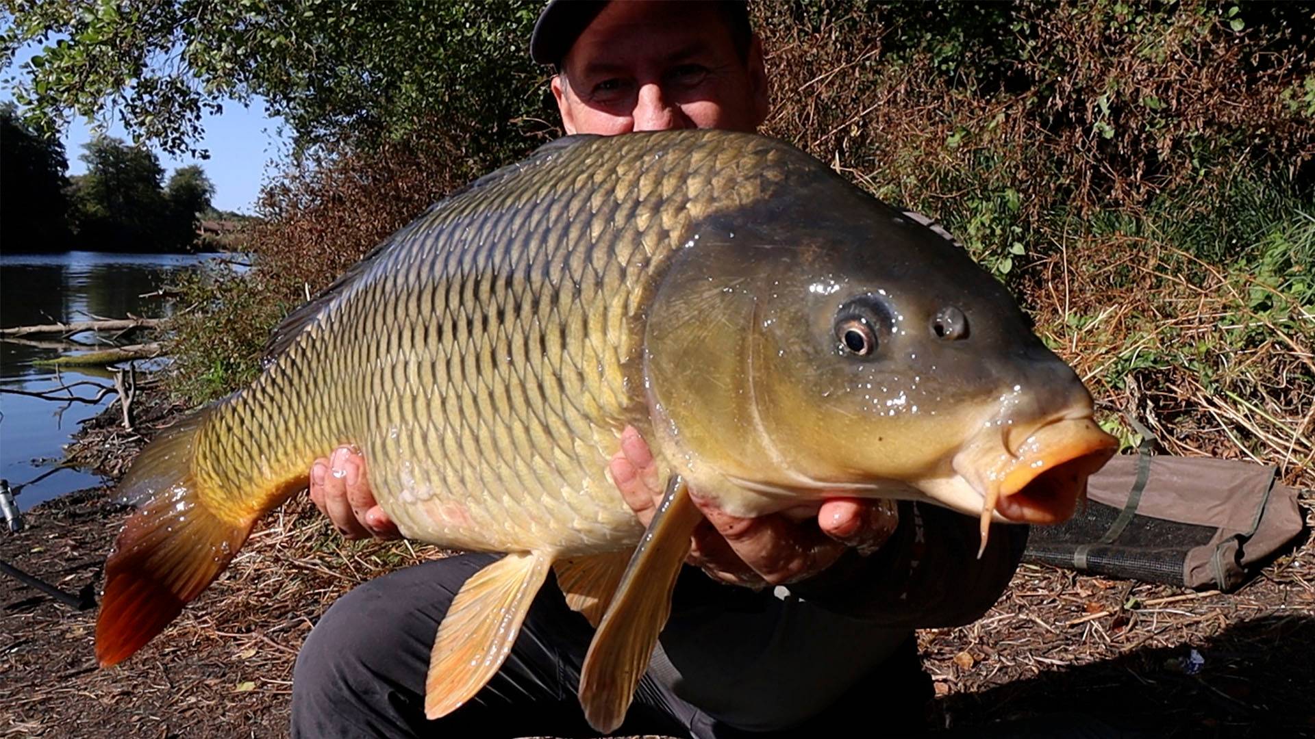 Подобрал ключик к рыбе на лесном Озере! Ловлю сазана и амура!