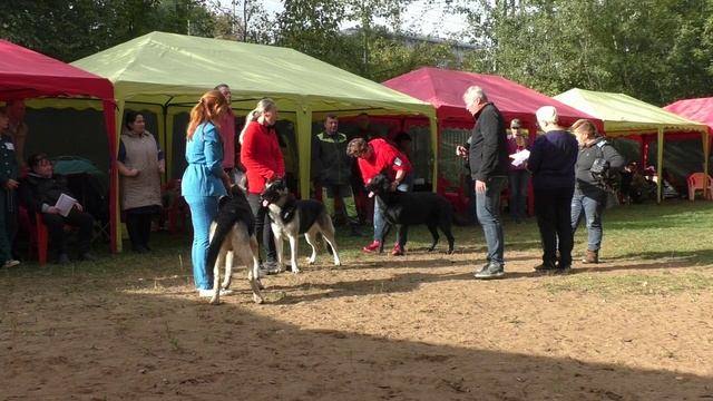 Расстановка рабочего класса