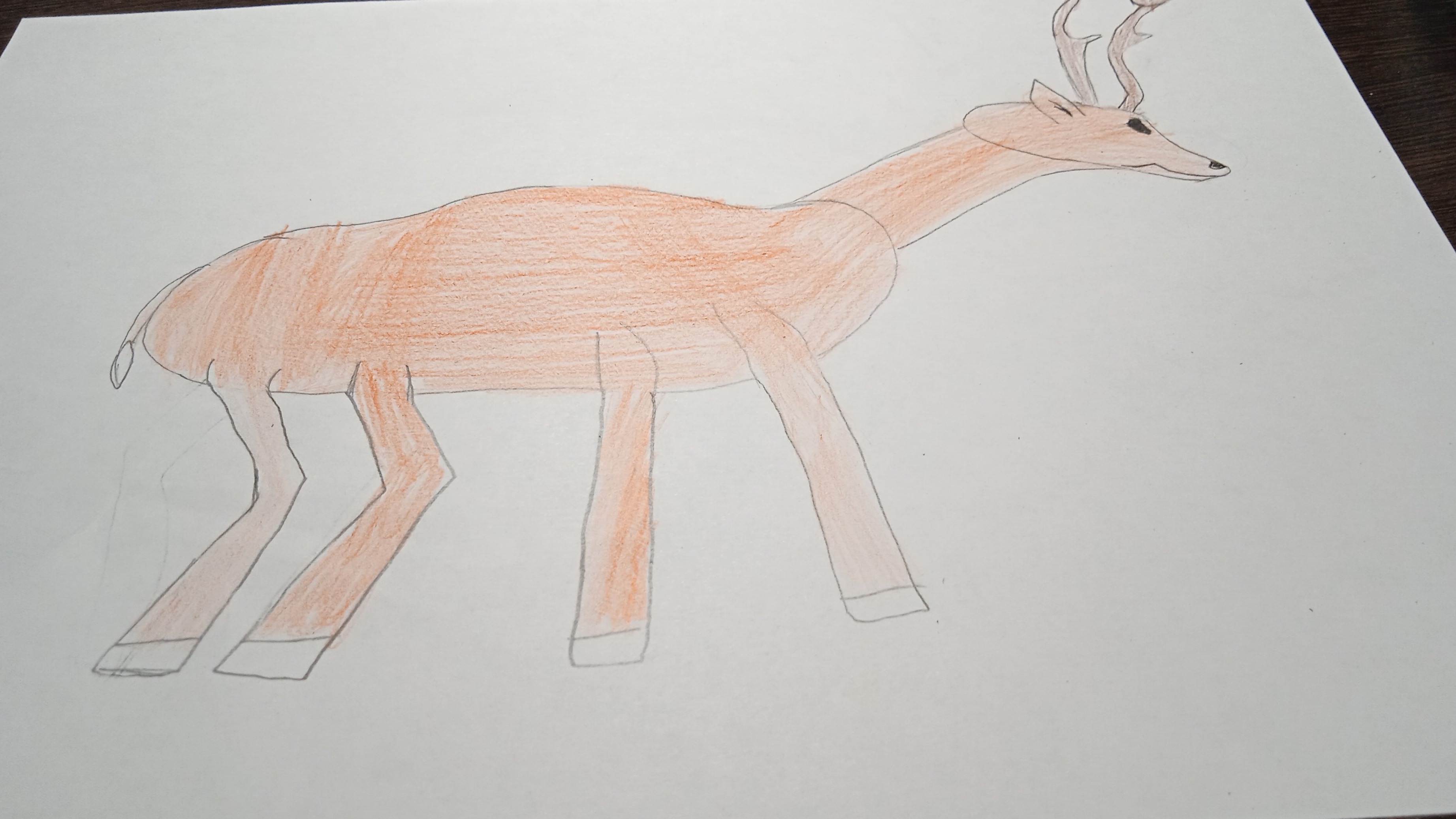 Рисунок Северного аленя