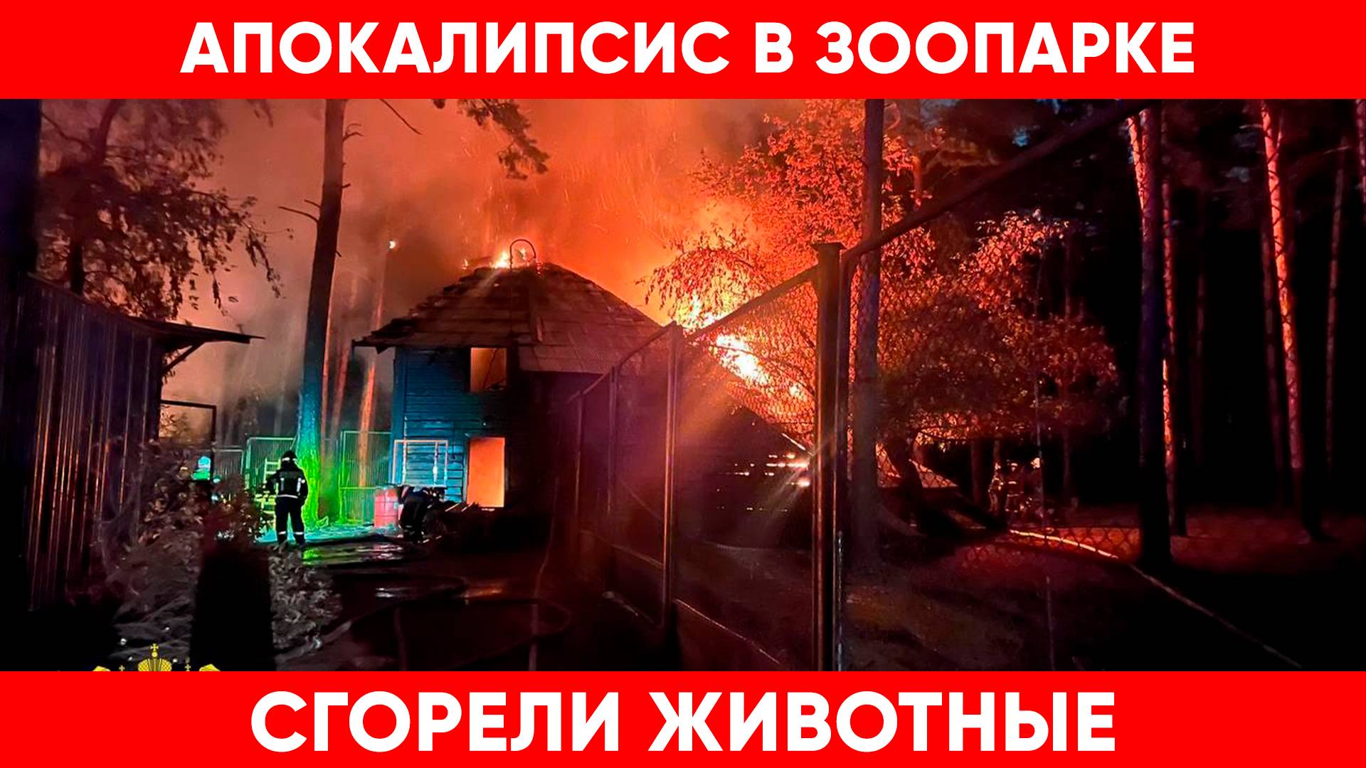 Апокалипсис в зоопарке: Новосибирск в шоке от криков животных, сгоревших заживо