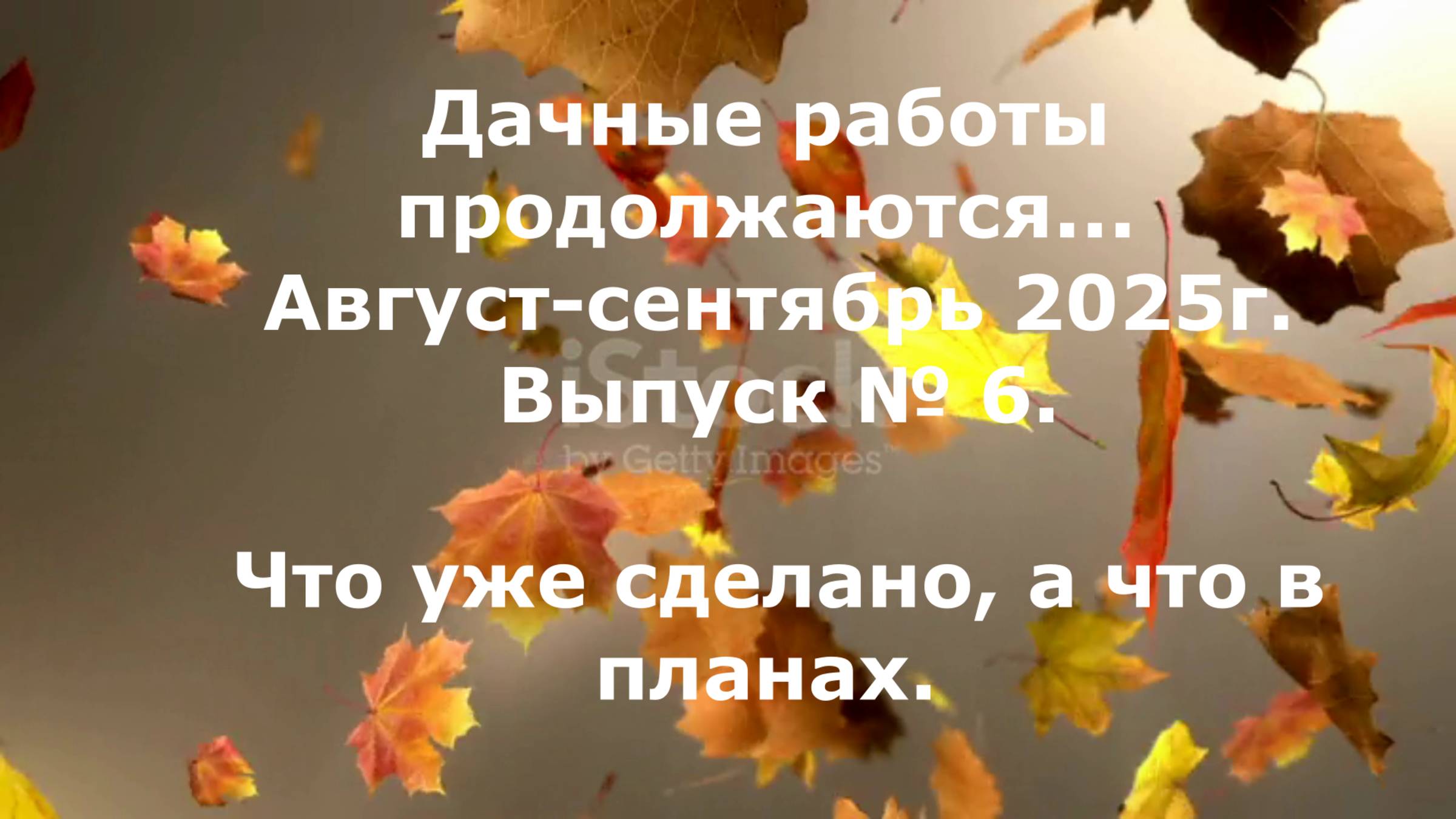 Дача. Август- сентябрь 2025г.  Вып № 6.Что сделано и что предстоит сделать.
