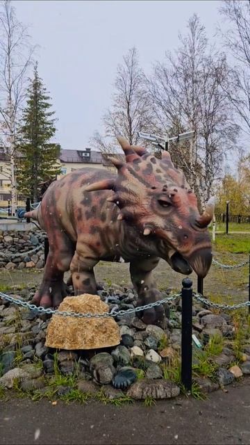 Ну вот и зима на пороге. 24 сентября 2025. ЖизньСеверян. Ямало-Ненецкий АО Лабытнанги.