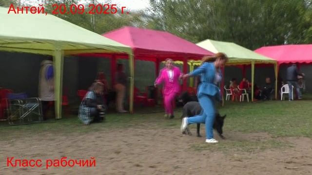 Класс рабочий