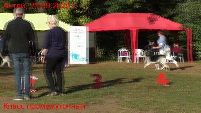 Класс промежуточный