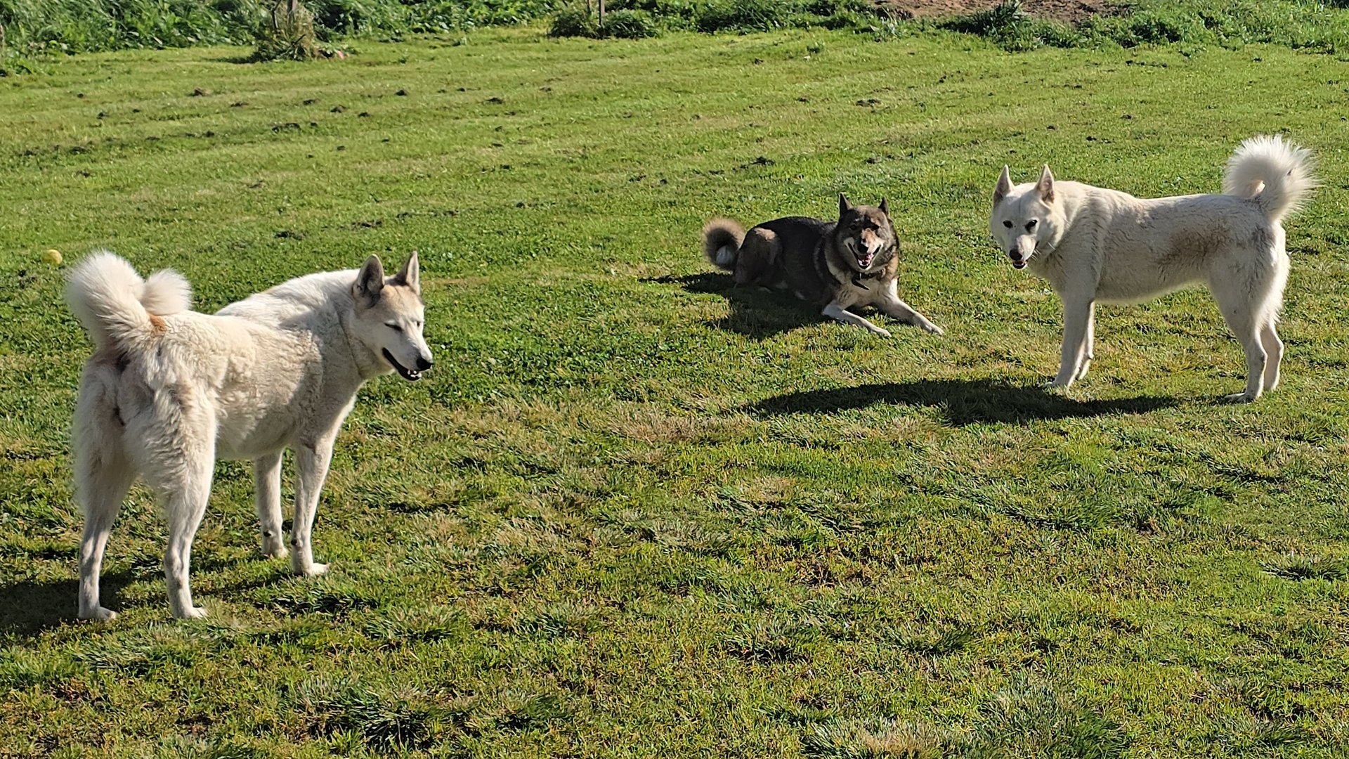 Чего-то не хватает