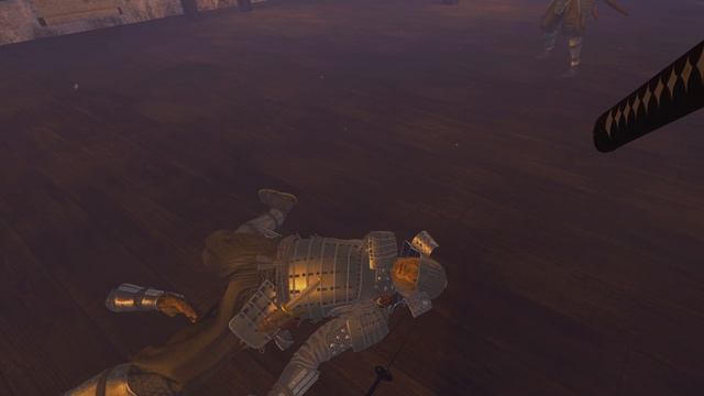 Oculus 3s/Swordsman VR 2025/ SteamVR-Satsuma-Samurai 2lvl