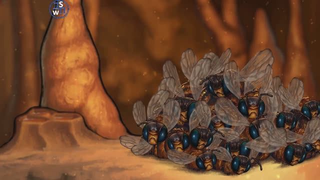 Пчелка: Пчелиный герой!