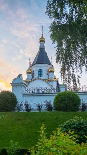 Душевный лекарь#Церковь#shortvideo#shorts#Молитва#Православие