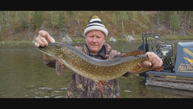 Экспедиция на Север Енисея. 1-я Серия. Сентябрь 2025г.