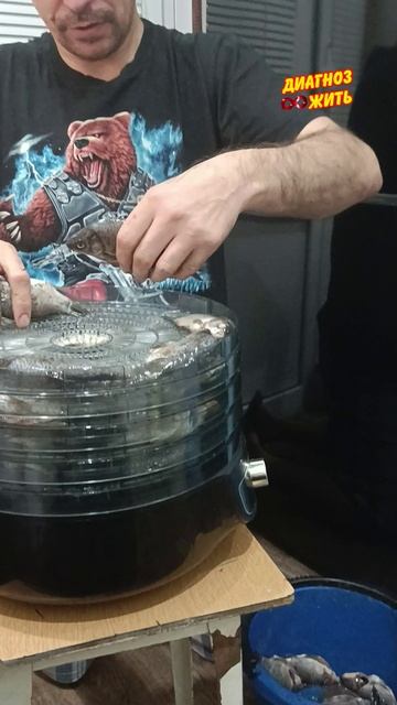 СУШИМ РЫБКУ