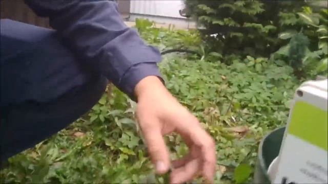 КолоВеси после трёх лет использования