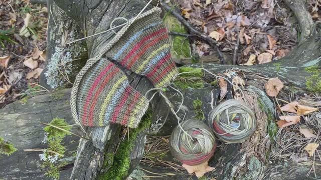 🧶ПОКУПКИ, ПРОЦЕССЫ, ПРОГУЛКИ🍄/ Сентябрь 2025🟫