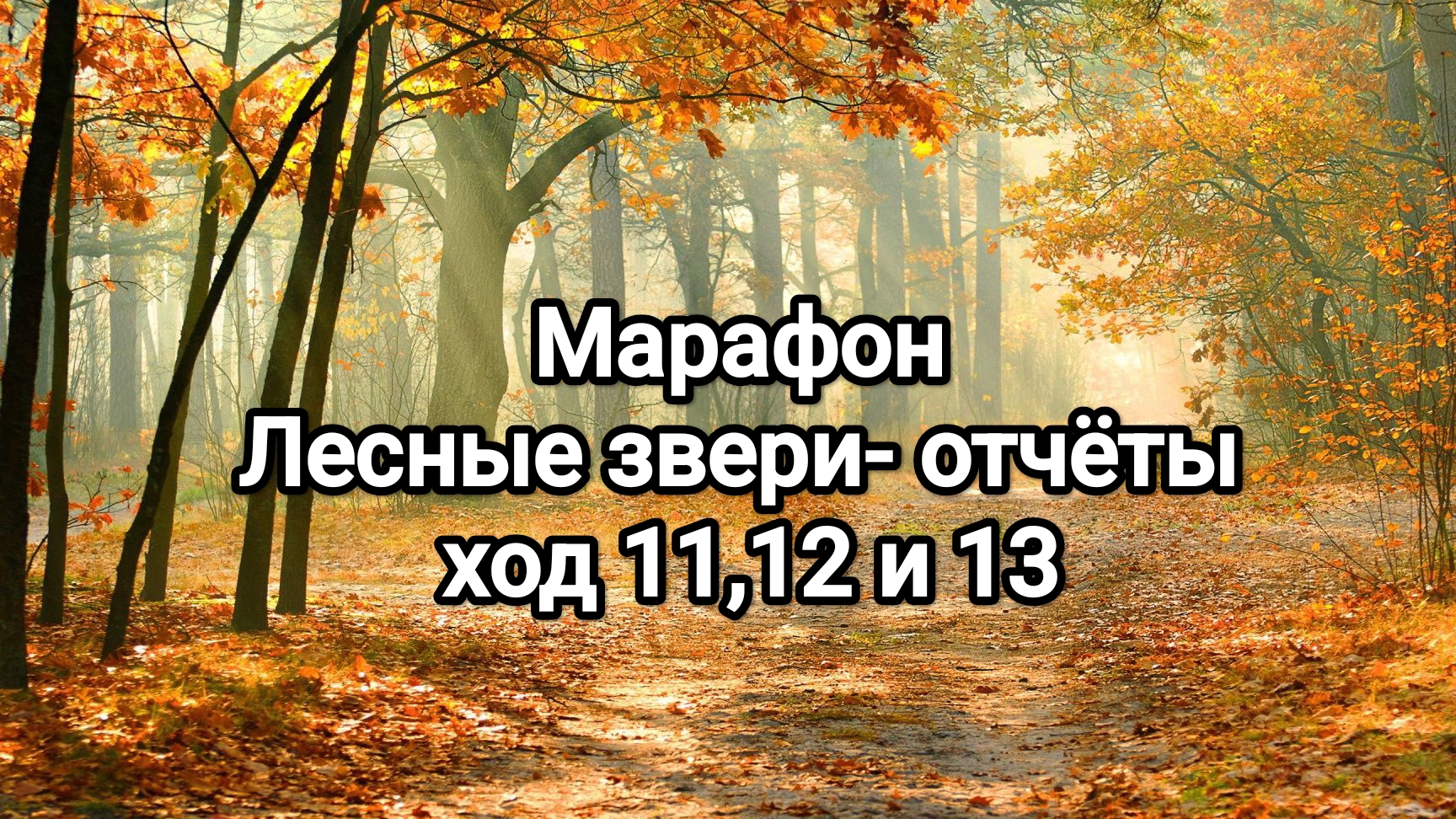 Марафон Лесные звери,  отчёты за ход 11, 12 и 13