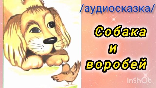 Собака и воробей /аудиосказка/Братья Гримм