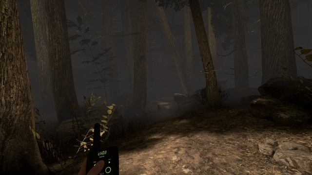 Ведьма из Блэр VR Part 1.1 (Pico 4 Ultra)