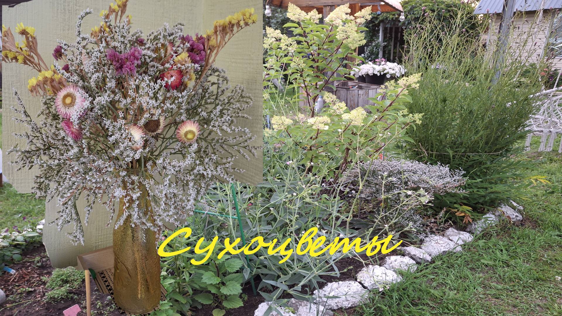 Букет из сухоцветов (статица, гелихризум, гомфрена) #113