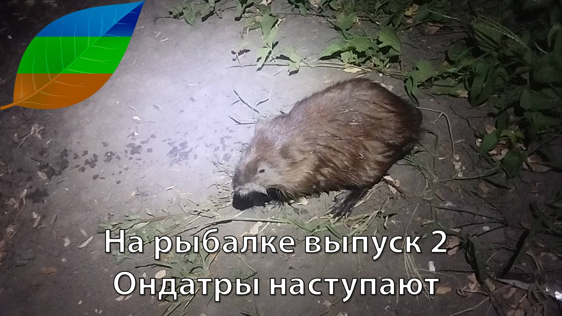 На рыбалке выпуск 2 Ондатры наступают