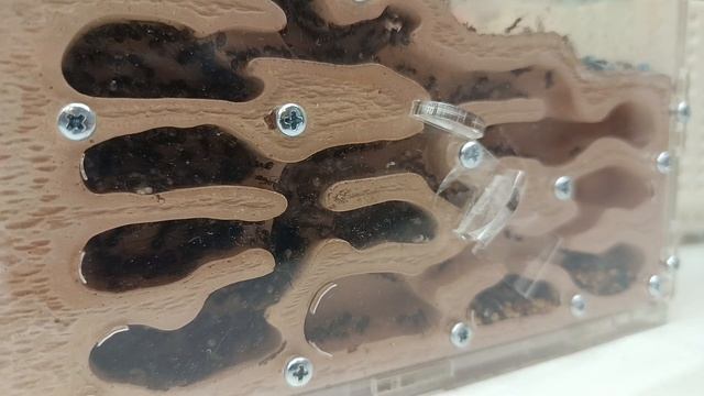 ЗАЛЕПАТЕЛЬНЫЙ МОМЕНТ 2