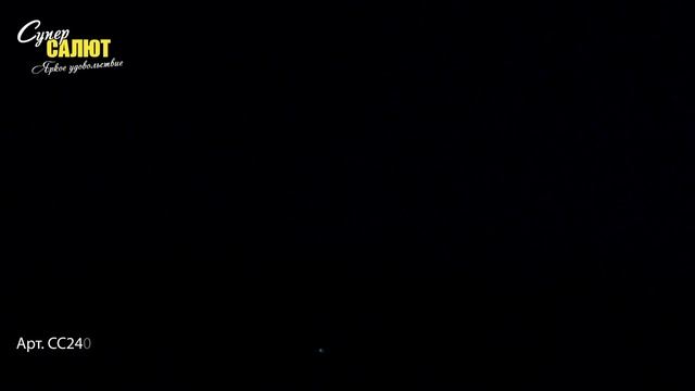 CC2400_2025 Спутник