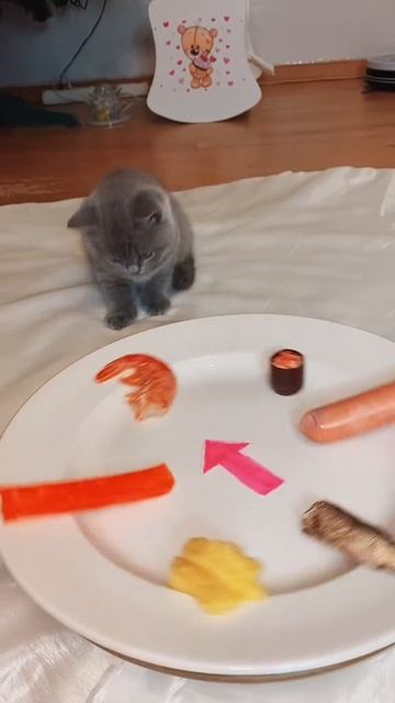 Вращайте барабан! 🎉