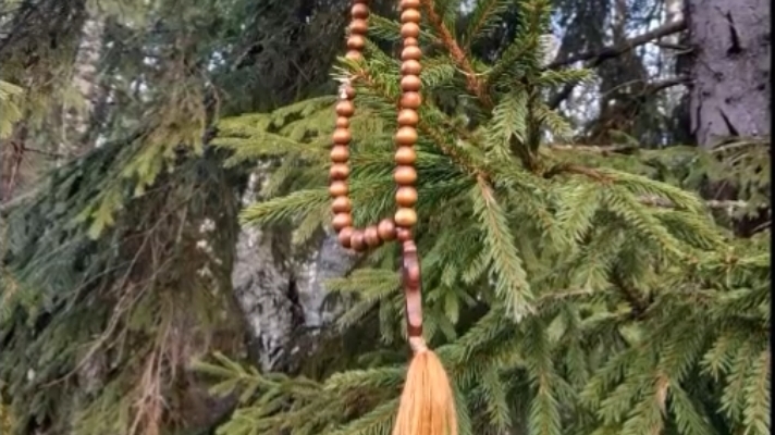 Поющие цветы✨