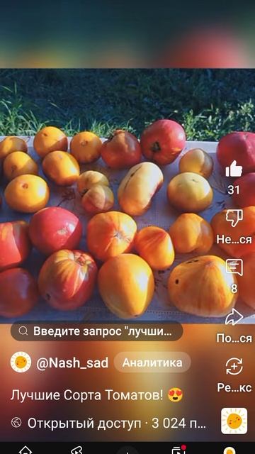 Лучшие сорта томатов