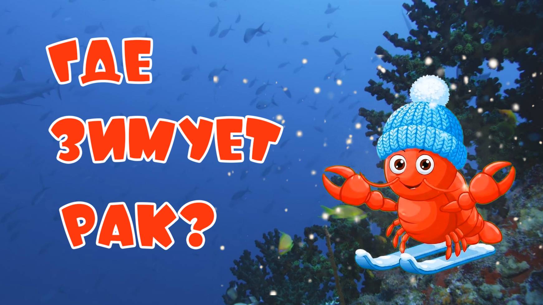 Где зимует рак? Автор стихов Е. Лемехова, муз.  М. Гребенщикова, поёт М. Гребенщиков и К. Деткова