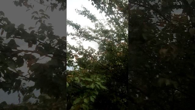 Курица или яйцо? В Урожайном сезоне, есть ВСЁ!