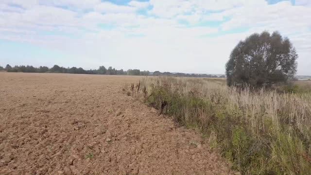 Cнова прогулялся по полю с МД.