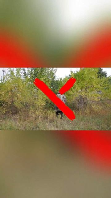 ЛАЙФХАК ДЛЯ НАКИДКИ ОТ ТЕПЛОВИЗОРА ZAVOZ