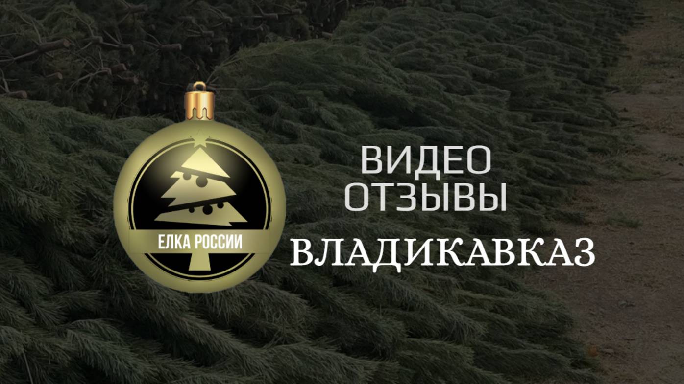 Новогодняя Елка Оптом | видеоотзыв ВЛАДИКАВКАЗ