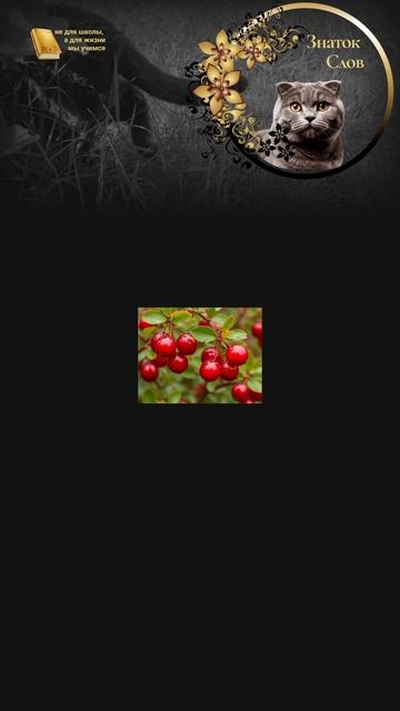 Знаток слов. 1 #shorts