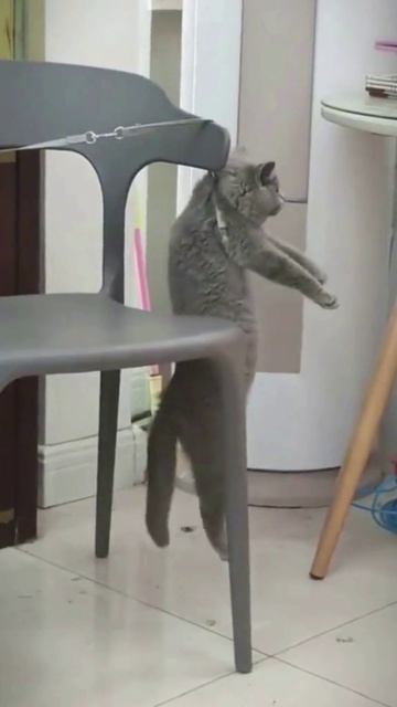 🤣 Кожаный..... у меня проблема..... я снова завис.... 🤣