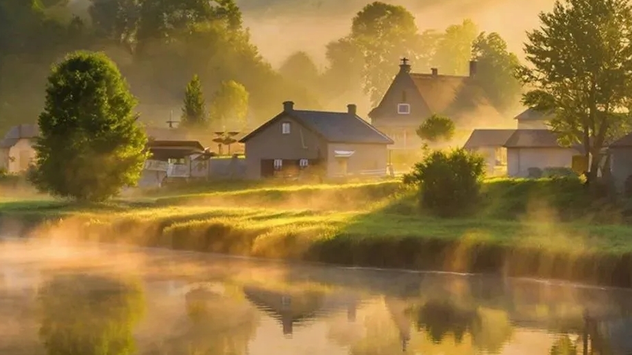 25-09-2025 Садовые хлопоты Я их вам не показала (архив)