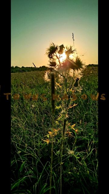 @Townshadows Sunny Ray или осенние размышления...